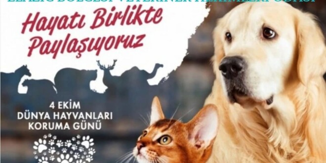 4 EKİM DÜNYA HAYVANLARI KORUMA GÜNÜ | Elazığ Bölgesi Veteriner Hekimler ...